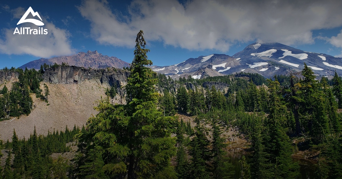 Mackenzie Pass | List | AllTrails