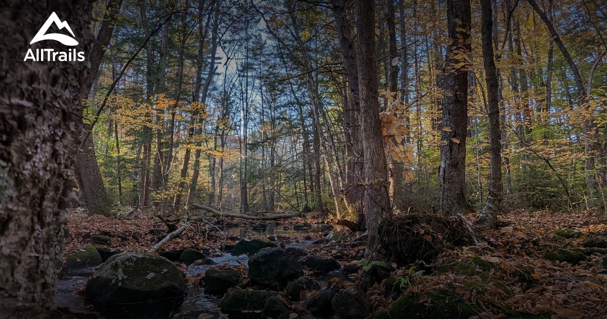 NH Trails | List | AllTrails