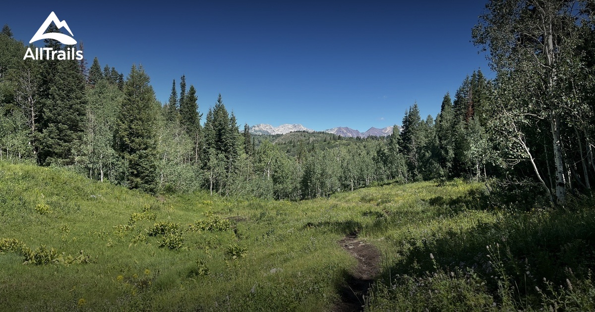 UT-CO 2021 | List | AllTrails