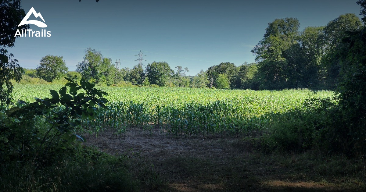 Bridgewater triangle | List | AllTrails