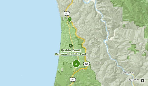Redwood national park planning | List | AllTrails
