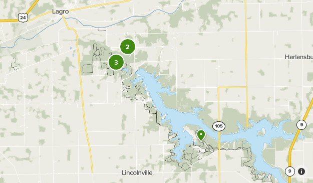 Salamonie River State Forest/ Salamonie Lake | List | AllTrails