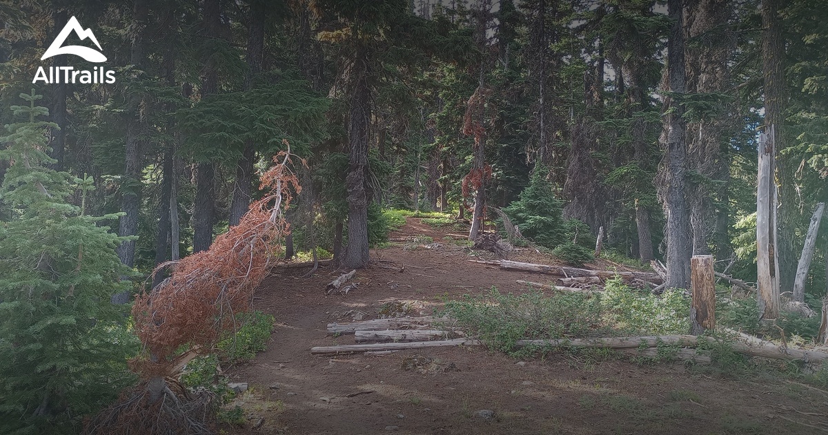 Teanaway Hikes | List | AllTrails