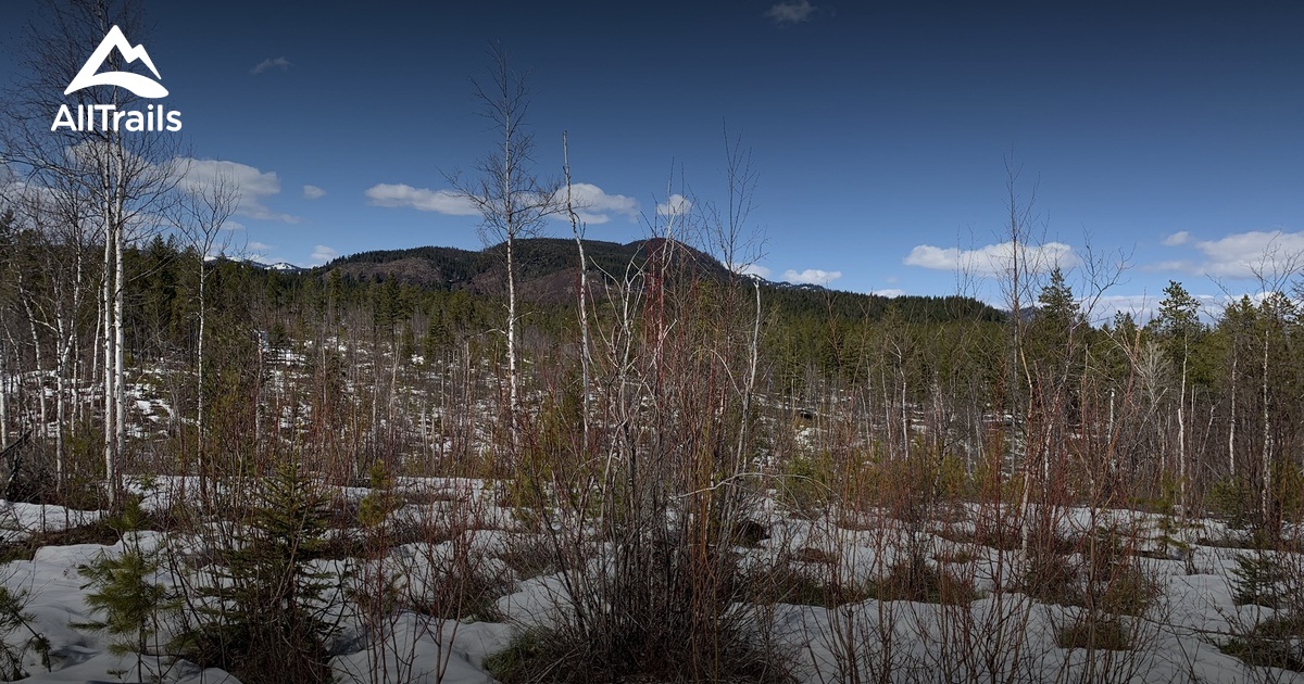 Spoon lake | List | AllTrails