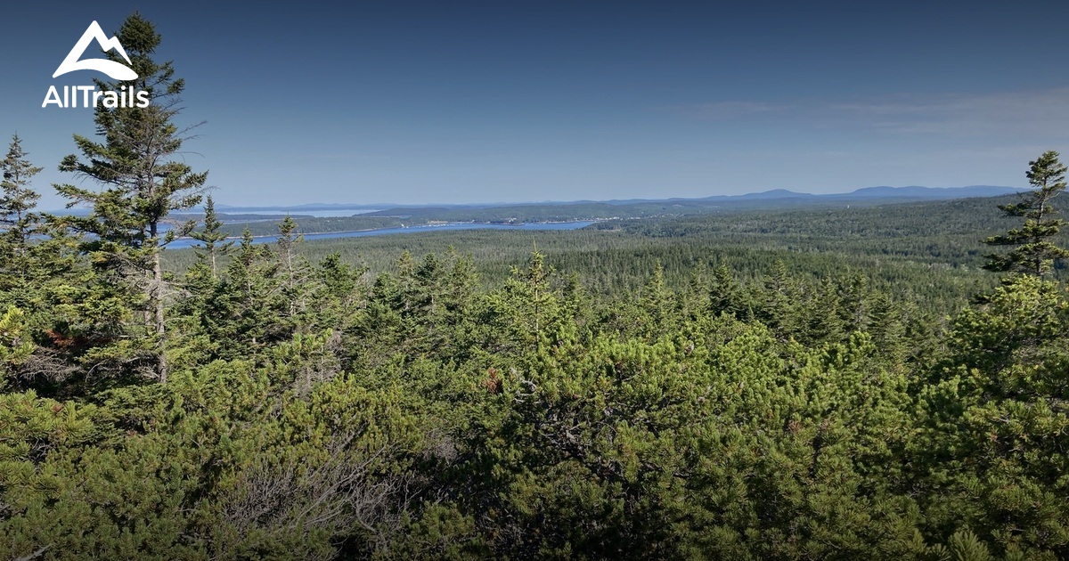 Schoodic Point Trails | List | AllTrails