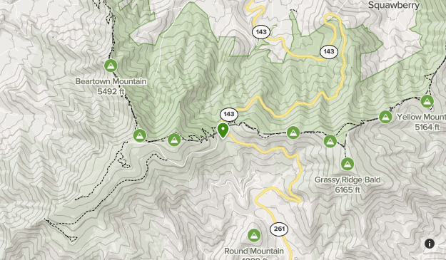 Roan Mountain Hiking | List | AllTrails