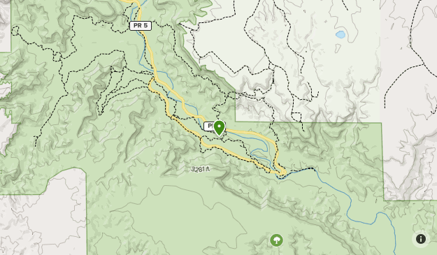 Palo hike | List | AllTrails