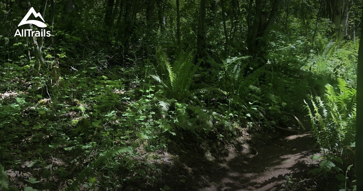 ABB U5km low elevation walks | List | AllTrails