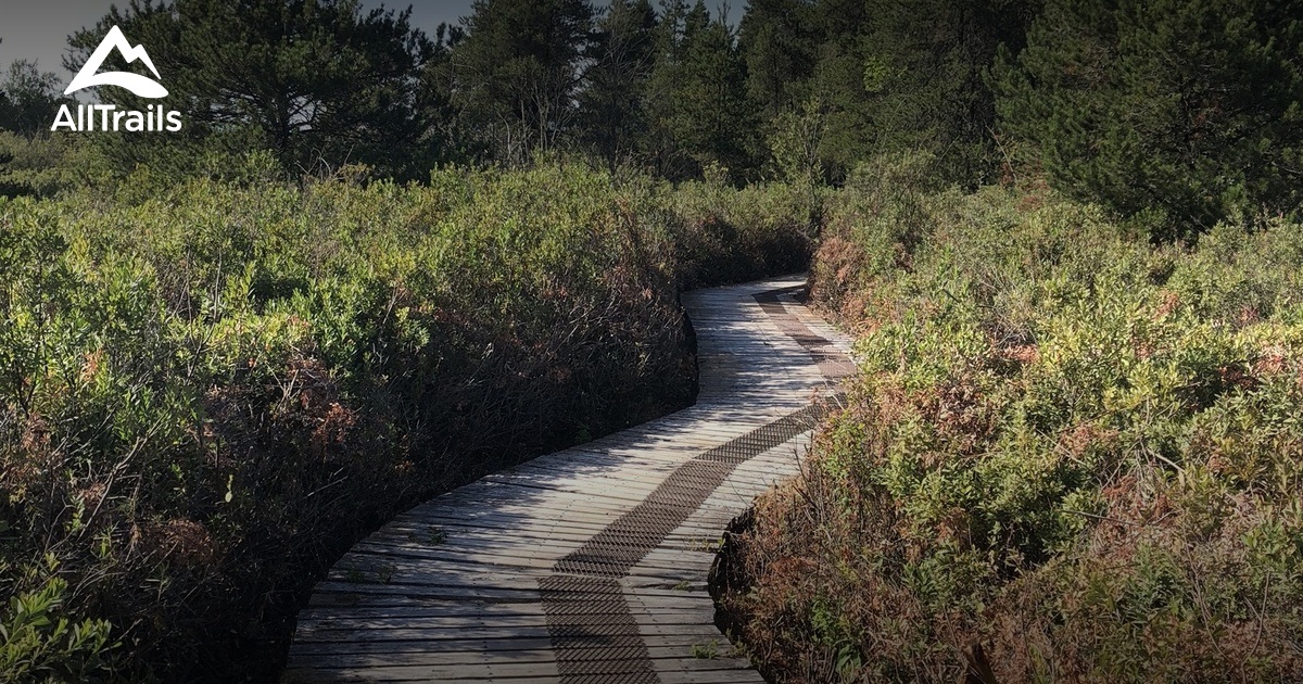 Delta/Ladner Trails | List | AllTrails