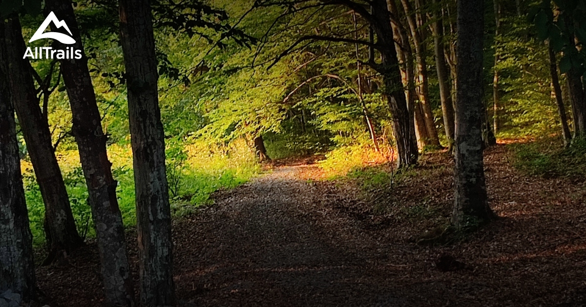 Sovata | List | AllTrails