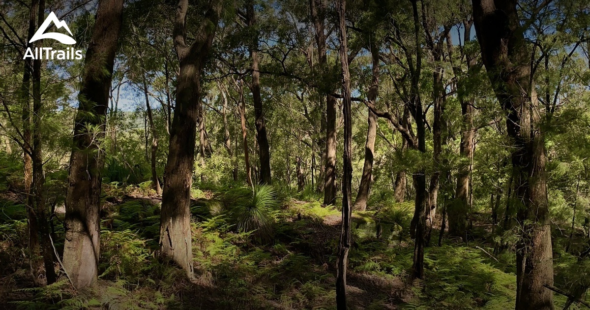 Bobbin Head National Park | List | AllTrails