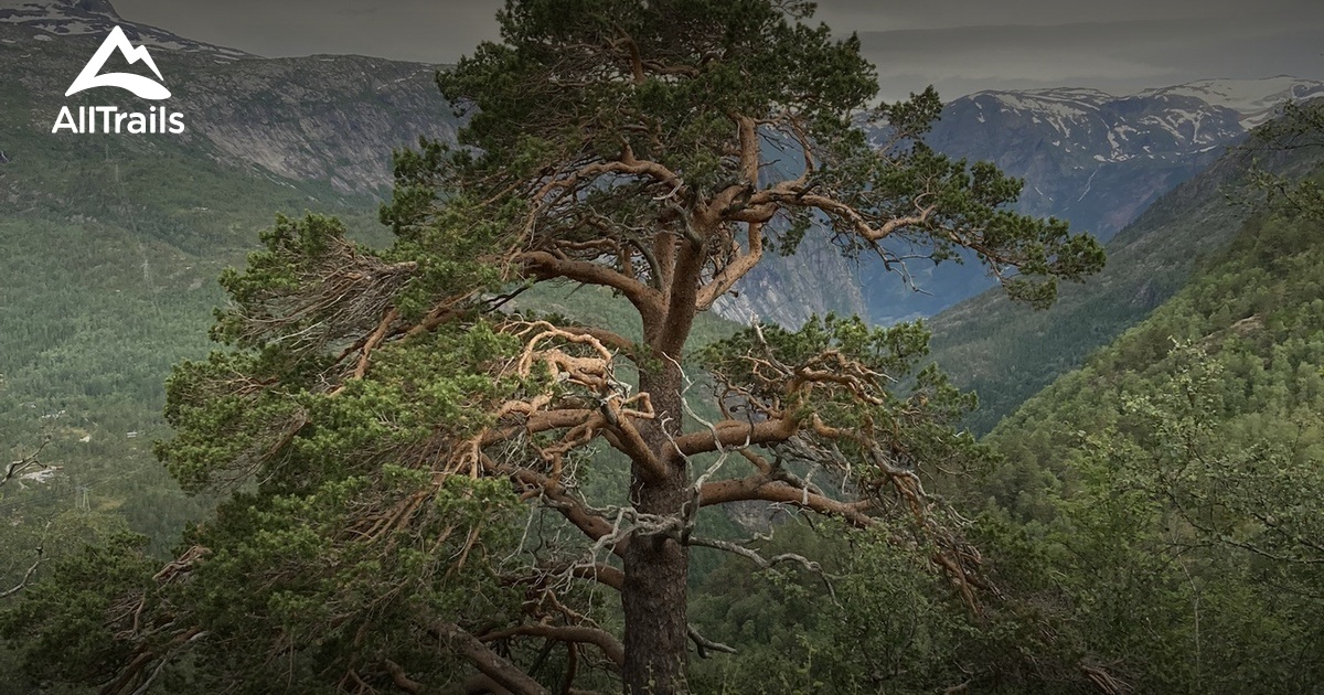 Zwaar maar de moeite | List | AllTrails