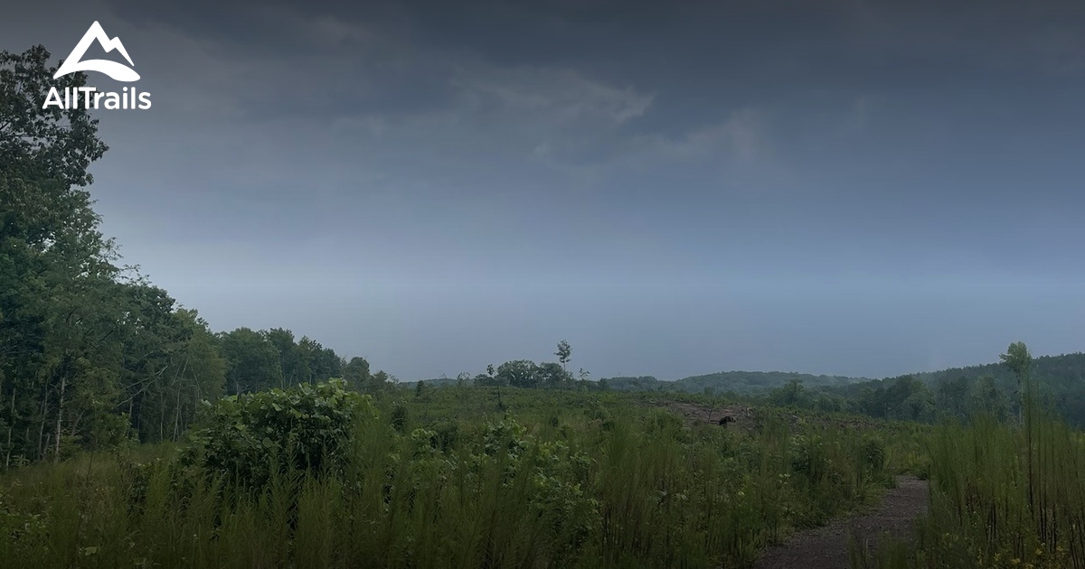 SC trail ideas | List | AllTrails