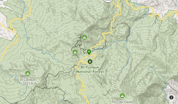 El Yunque Forest | List | AllTrails