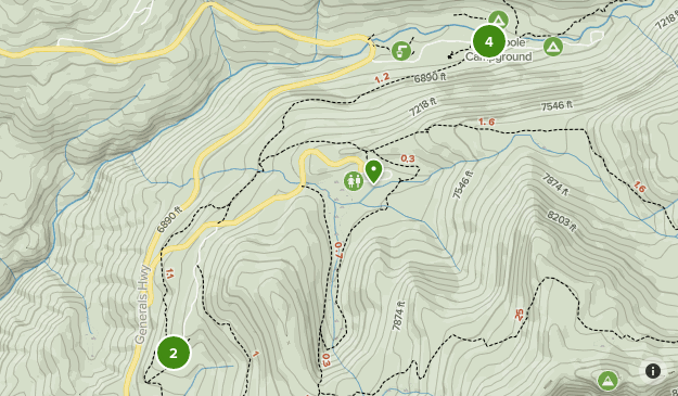 Lodgepole Campground Hikes | List | AllTrails
