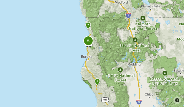 Northern California-Redwood forest area | List | AllTrails