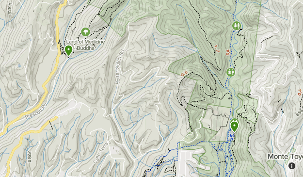 The Forest of Nisene Marks State Park | List | AllTrails