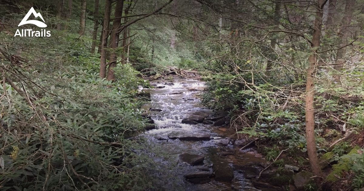 New Germany State Park | List | AllTrails