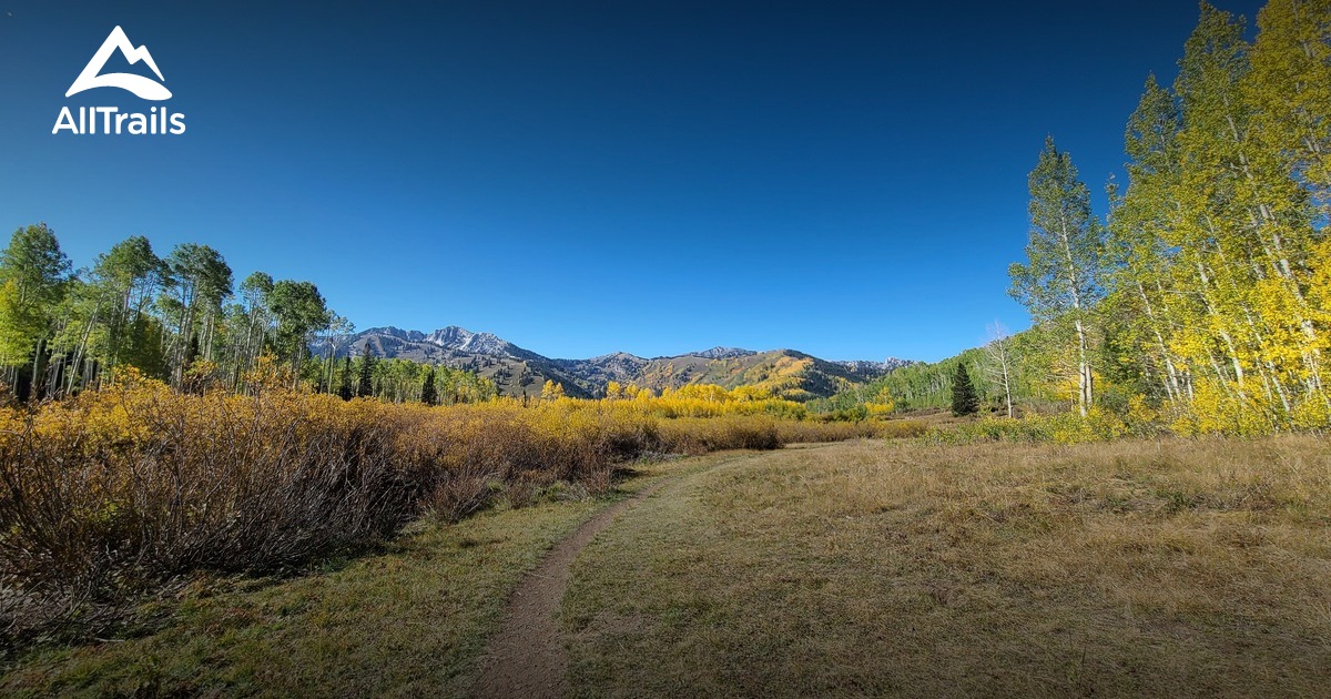 Solitude / Brighton Trails | List | AllTrails