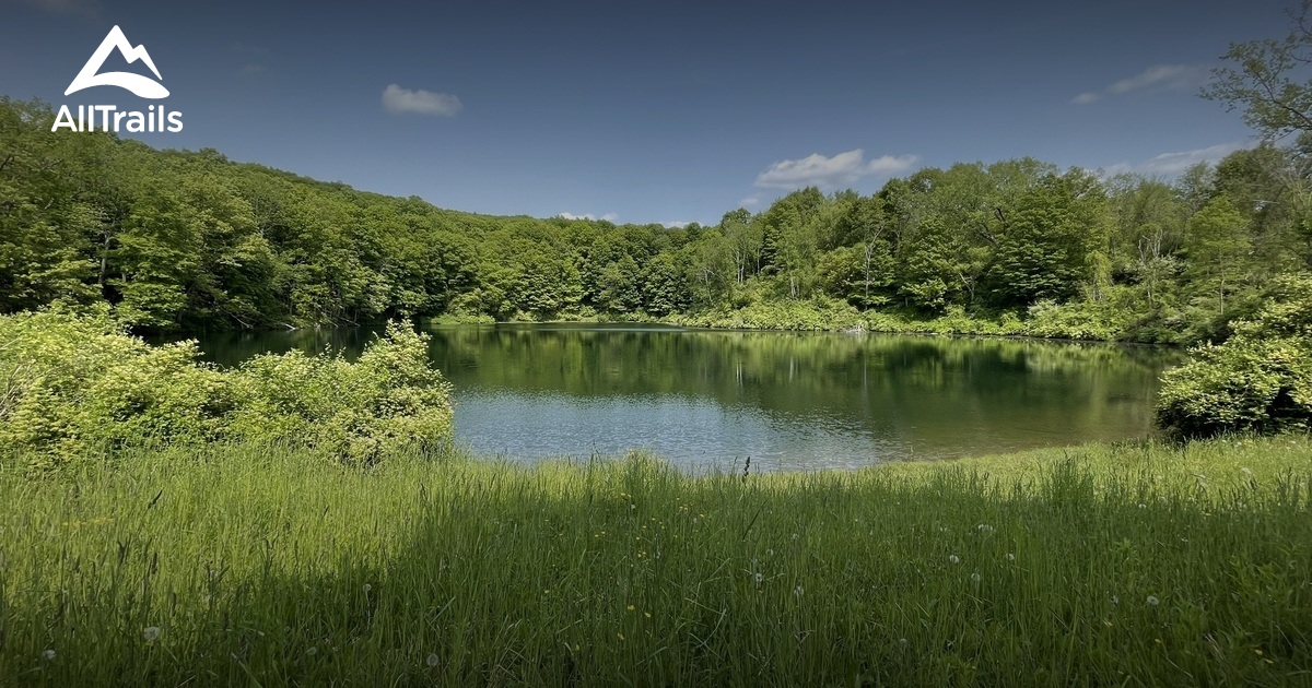 Taconic state park camping | List | AllTrails