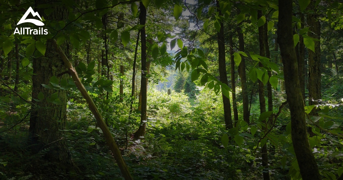 Camping w Evan | List | AllTrails