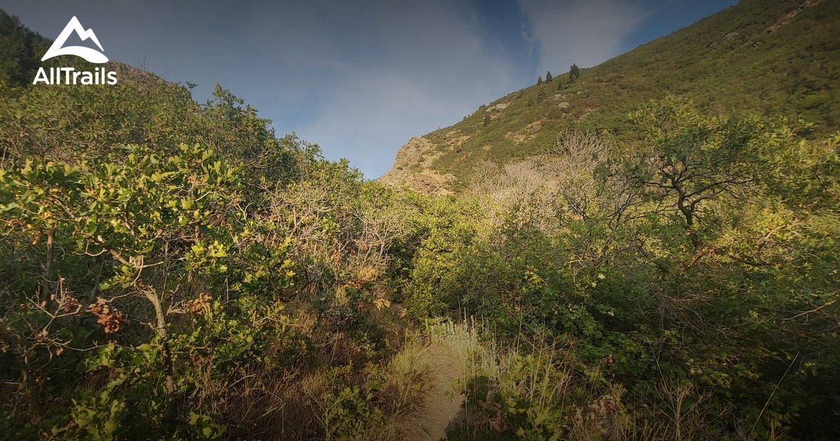 Hikes in Davis County | List | AllTrails