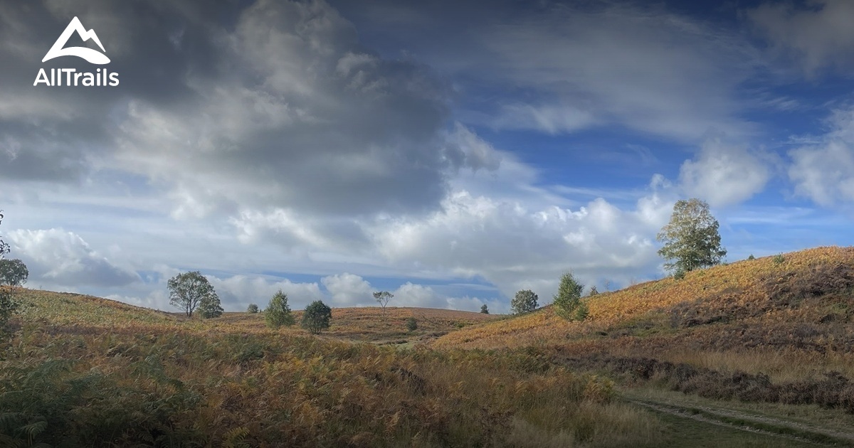 Cannock Chase AONB | List | AllTrails