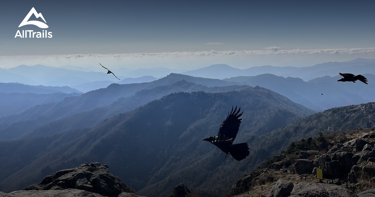 Jirisan National Park | List | AllTrails