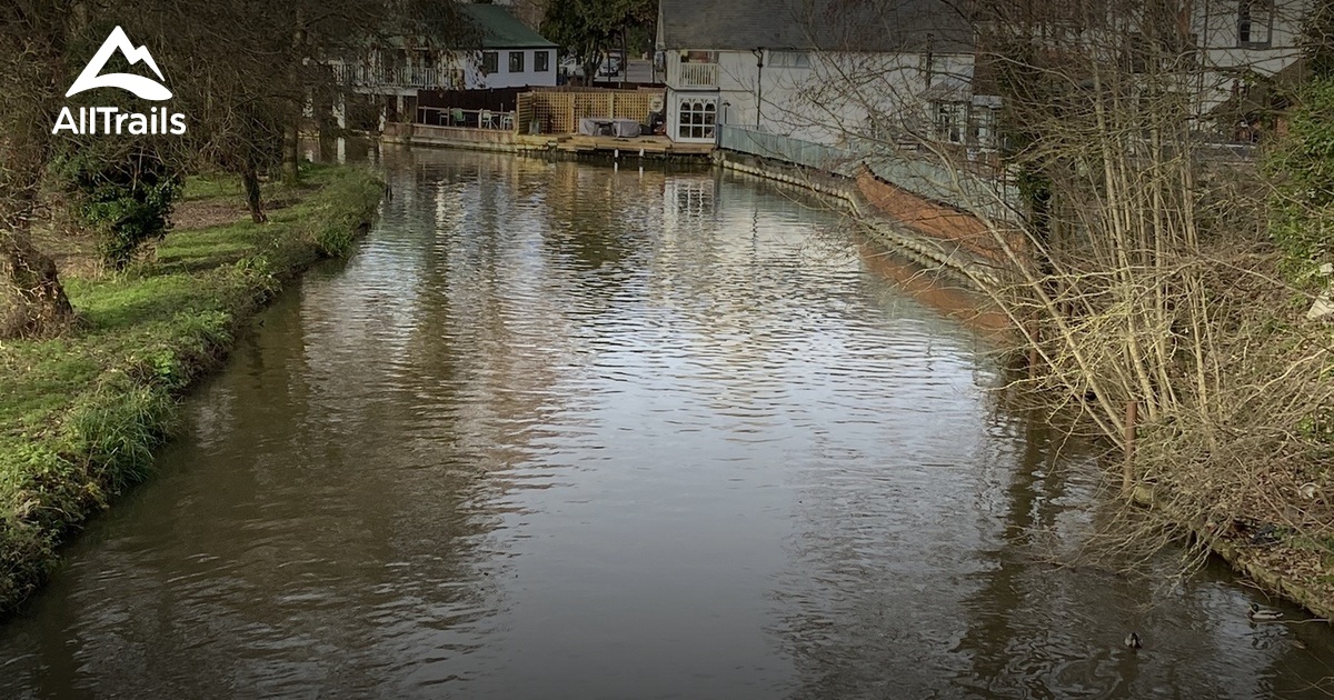 Shalford area | List | AllTrails