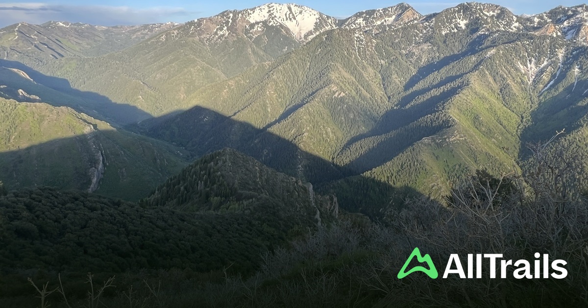 Appa salt lake | List | AllTrails