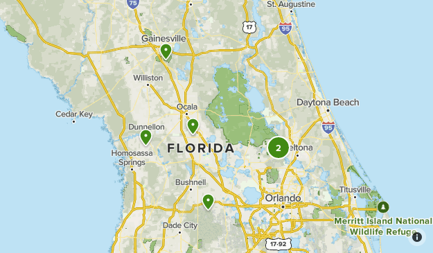 Ocala National Forest bike trails | List | AllTrails