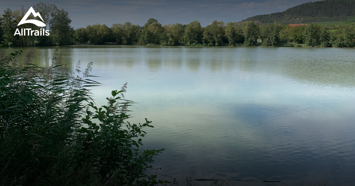 Steigerwald Panoramaweg | List | AllTrails