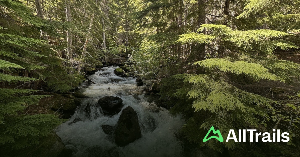 Washington Larch hikes | List | AllTrails