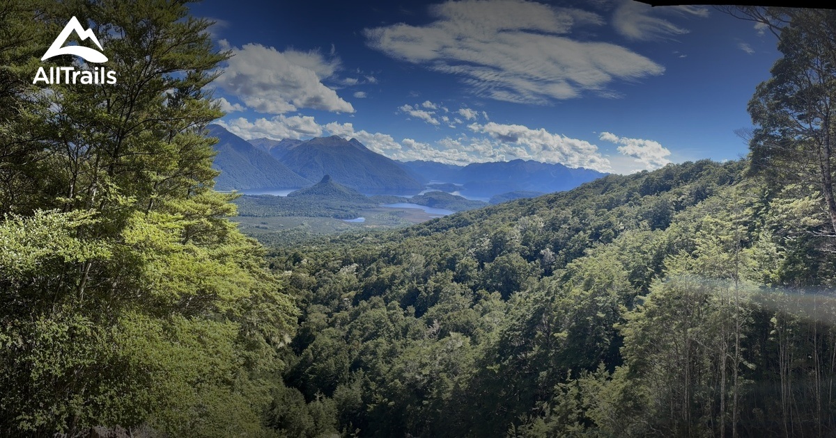 Motatapu Training | List | AllTrails