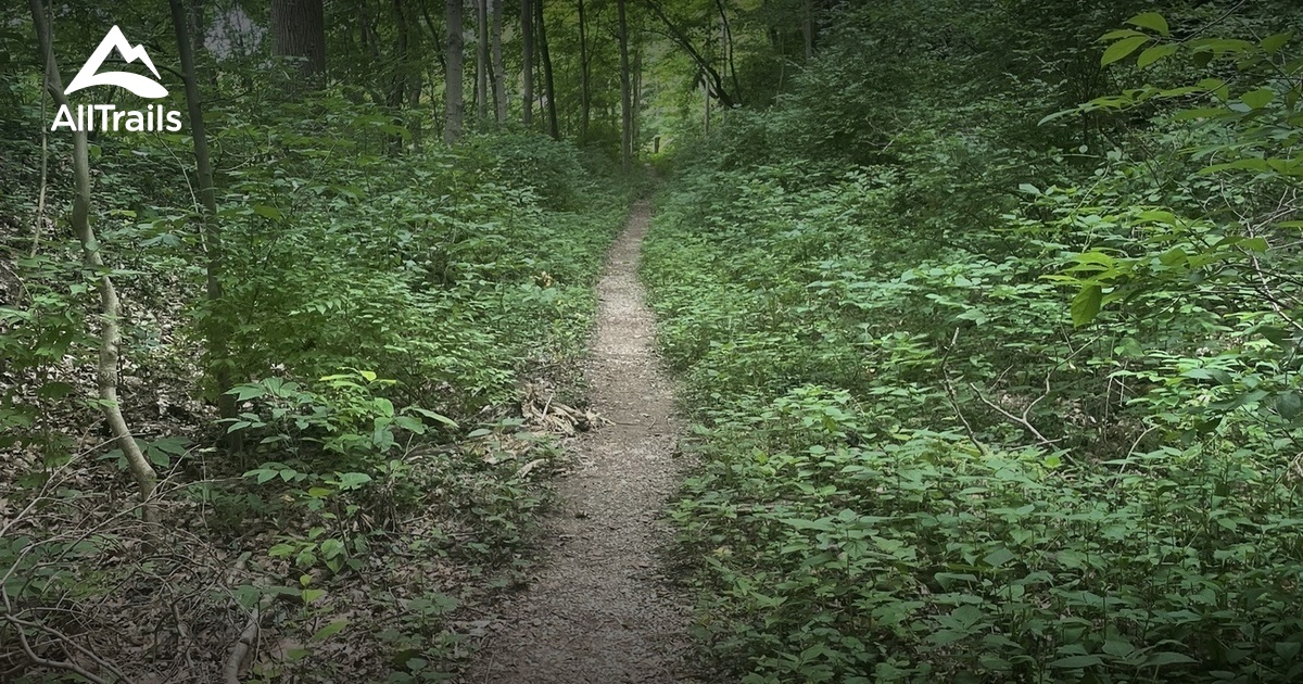 The Nati in nature | List | AllTrails