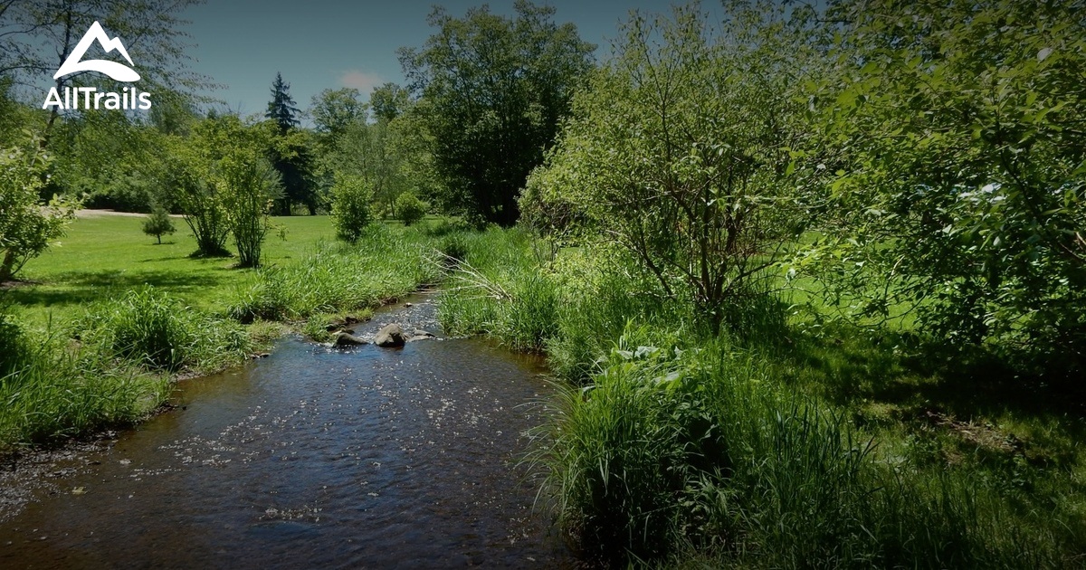 Waterfalls near me | List | AllTrails