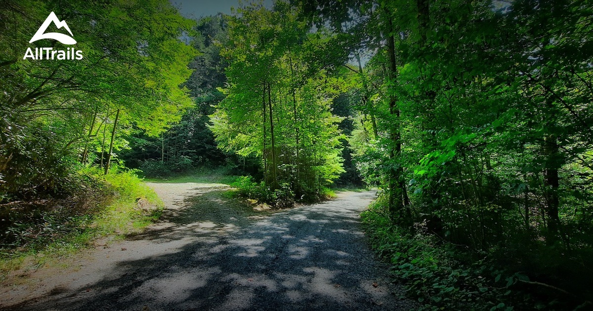 Easy Smoky Mountains Trails | List | AllTrails