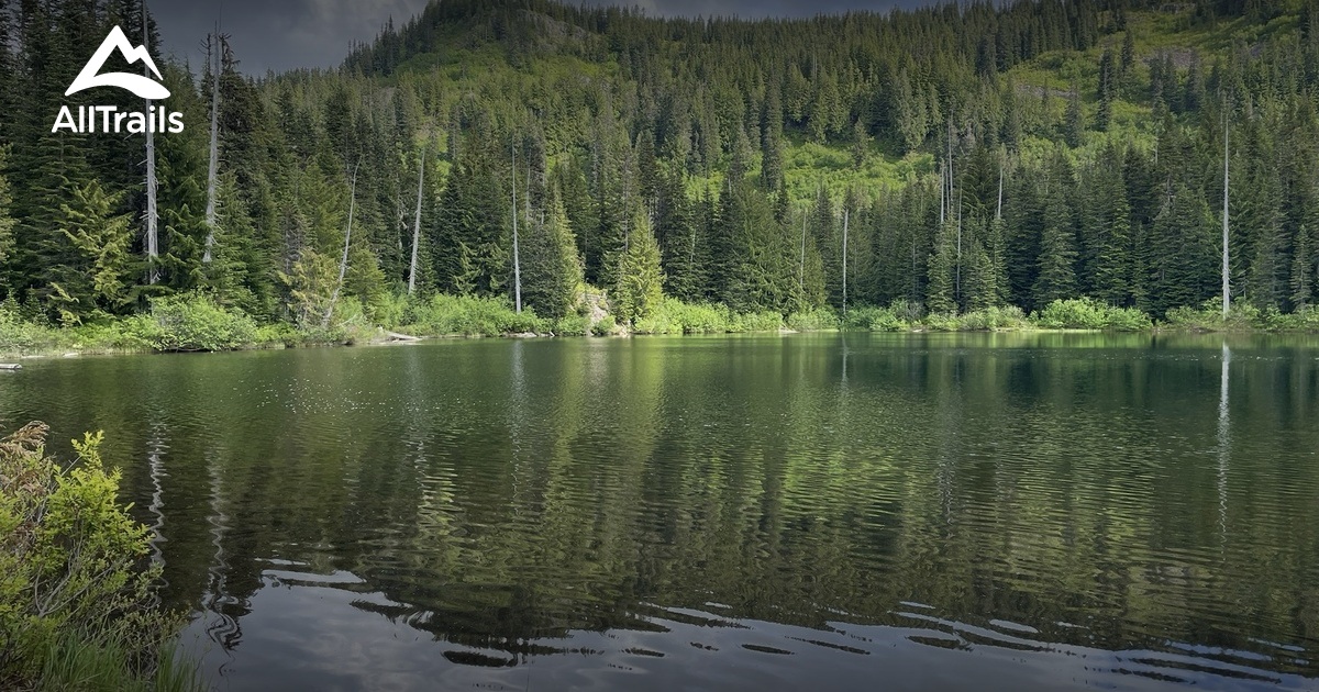 Timberline trail test hikes | List | AllTrails