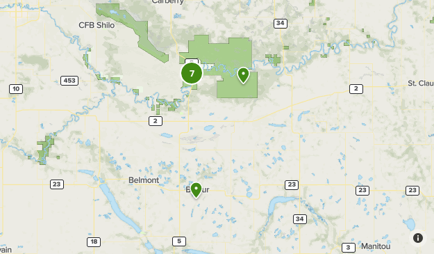 Spruce easy trail's | List | AllTrails