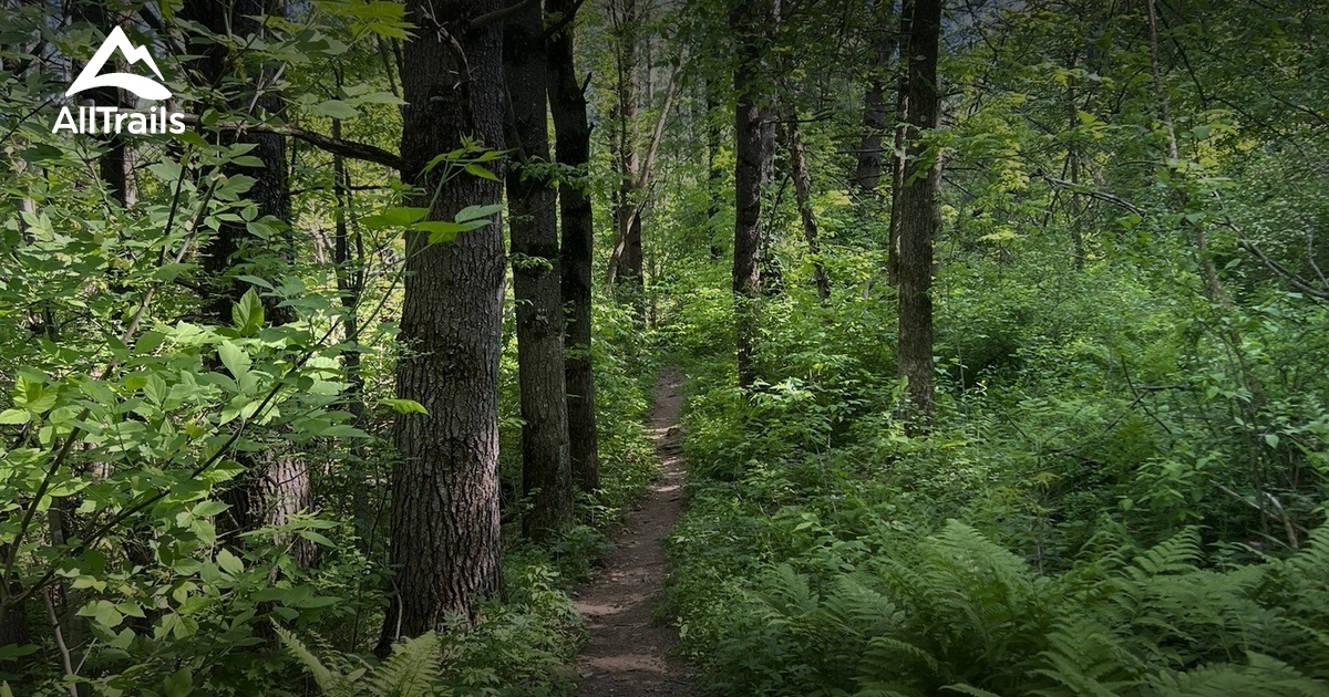 Wildcat Park | List | AllTrails