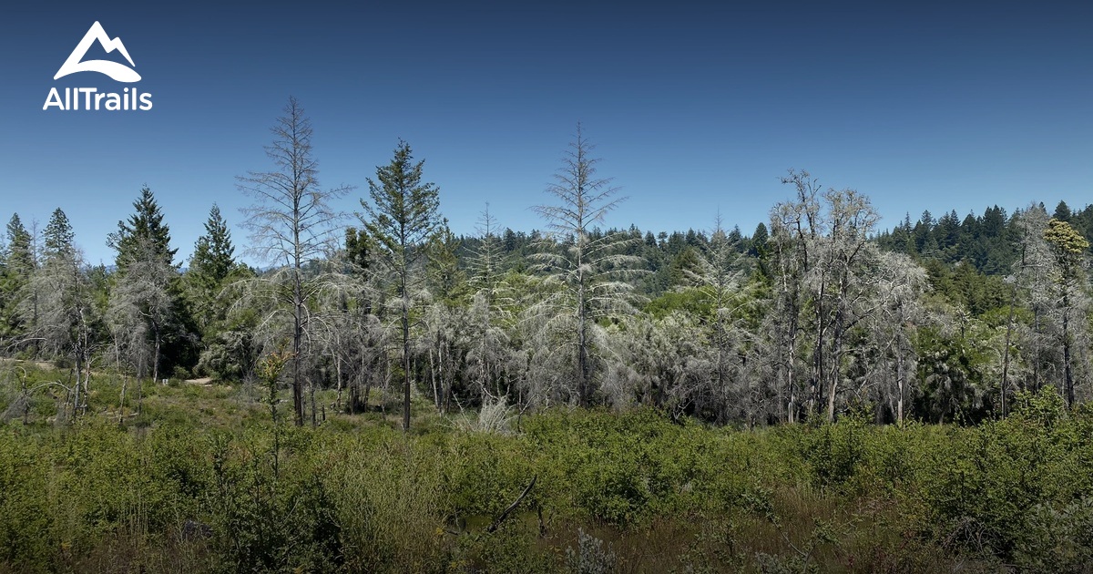 Felton Park | List | AllTrails