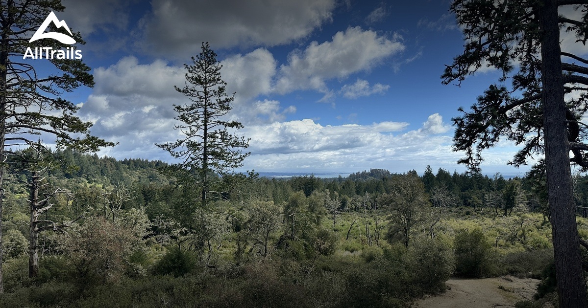 Felton Park | List | AllTrails