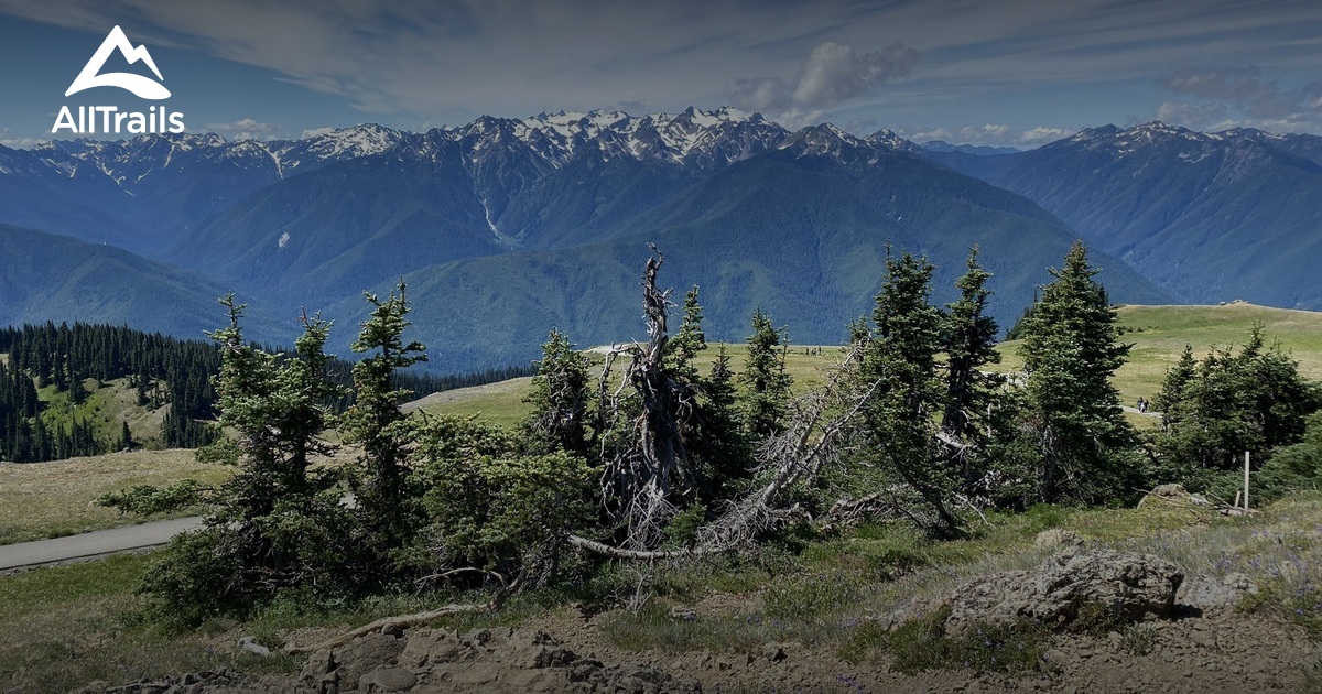Lake Sutherland | List | AllTrails