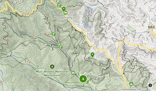 Muir Woods | List | AllTrails