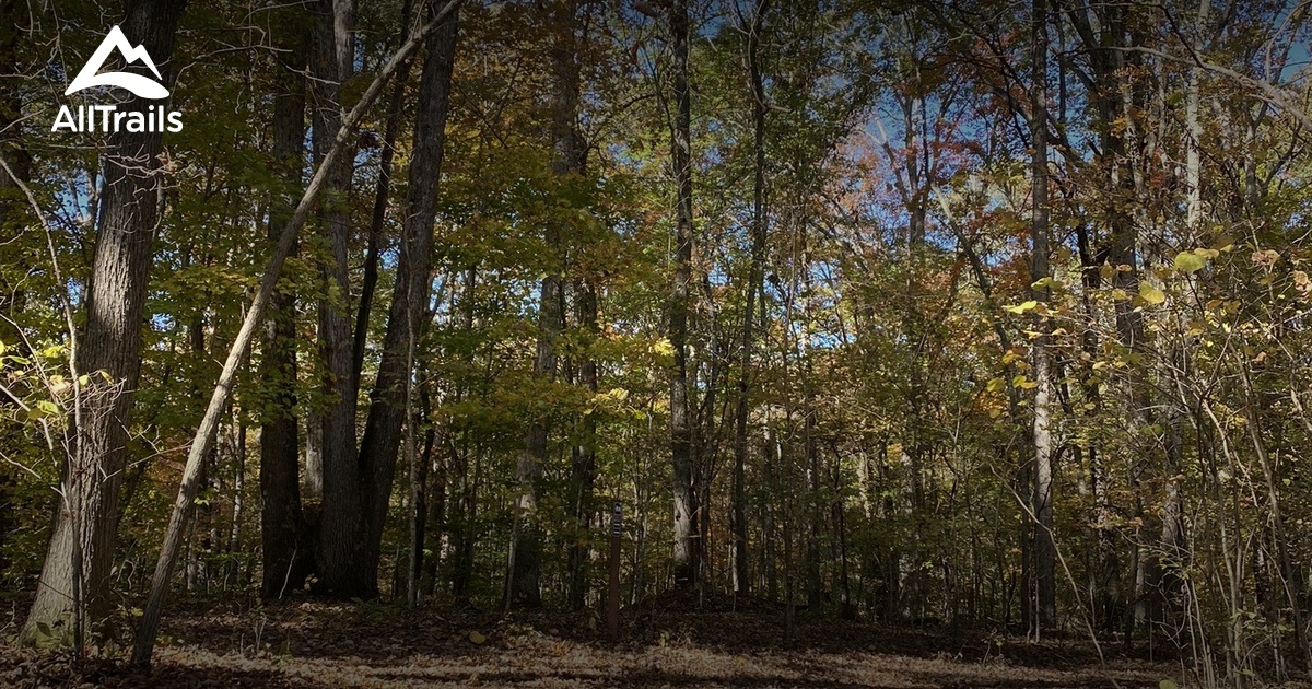 Willis hikes | List | AllTrails