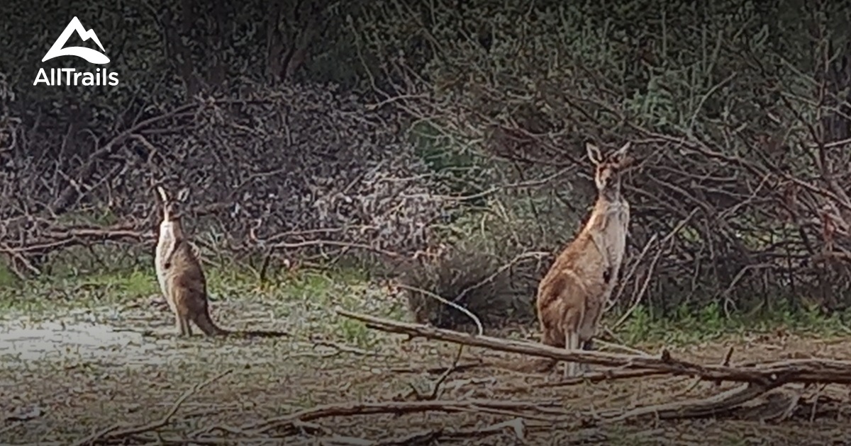 Bushmead surrounds walk | List | AllTrails