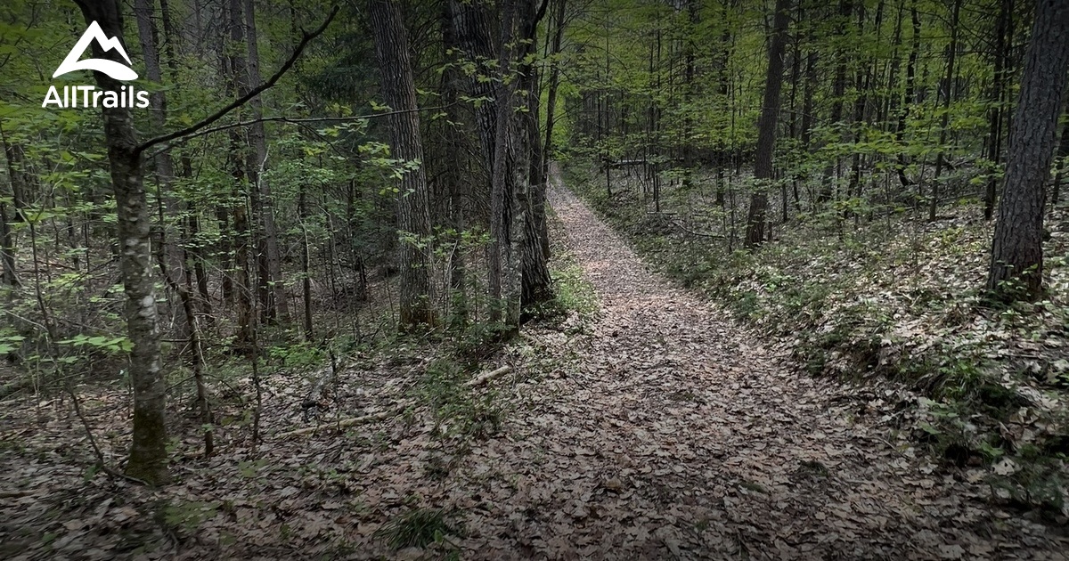 Vilas Co trails | List | AllTrails