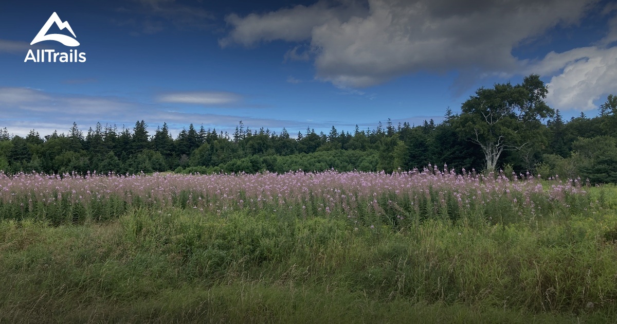 Cavendish PEI | List | AllTrails