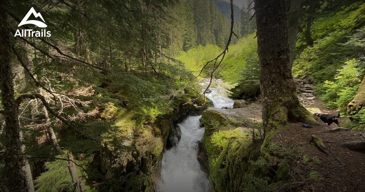 Verlot | List | AllTrails