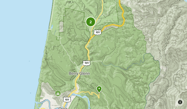 Redwoods | List | AllTrails